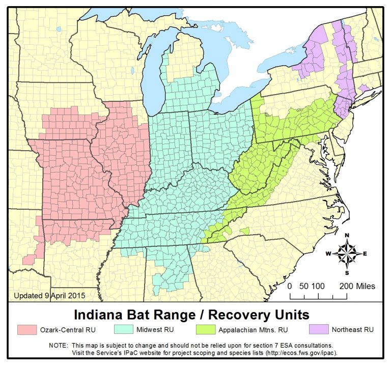 Bat Surveys - Apogee Environmental and Archaeological