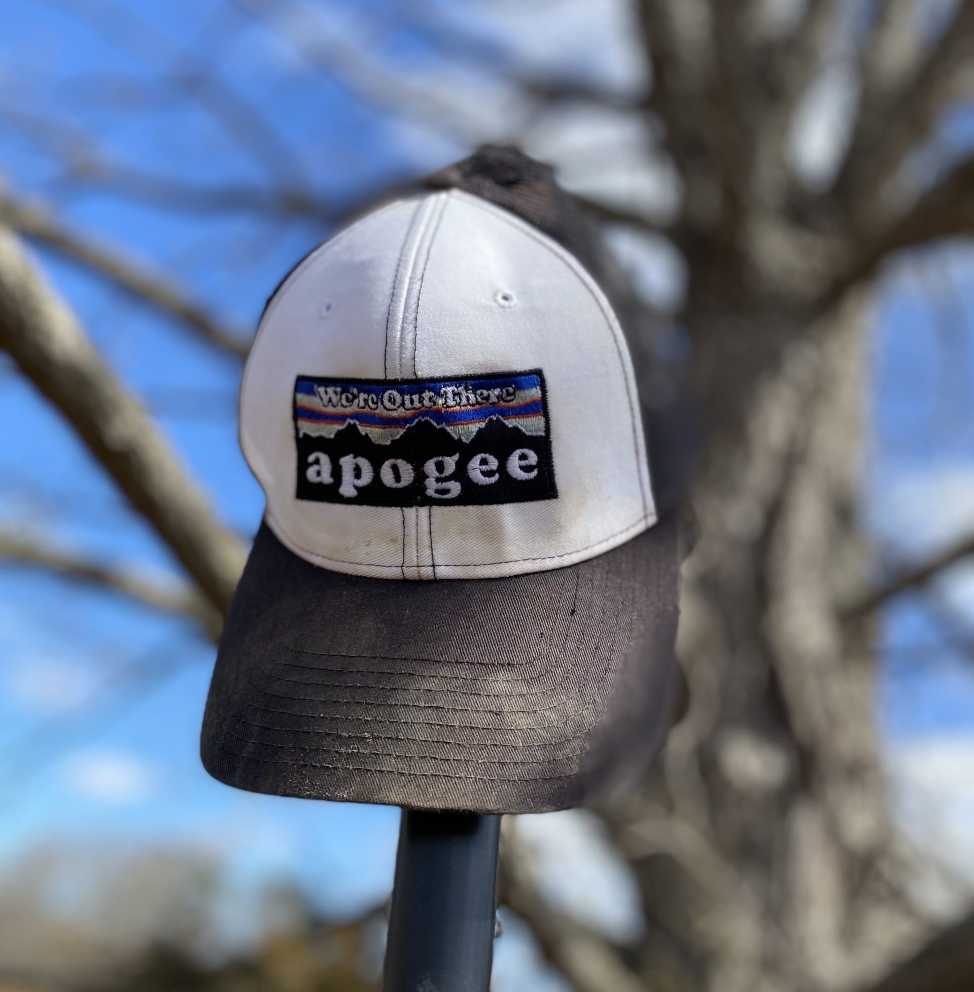 Team Apogee - Apogee Environmental and Archaeological